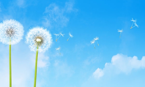 VZDUCH | Bioplants.cz